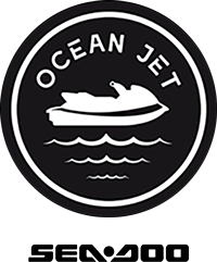 La Vaca Gigante | Ocean Jet Santander